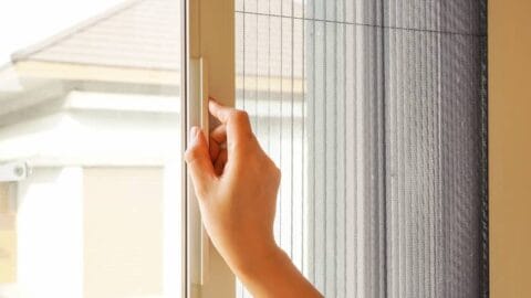 How To Clean Fly Screens And Doors | Maid2Match