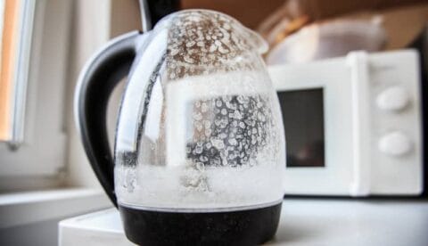 How To Descale A Kettle (Multiple Ways)