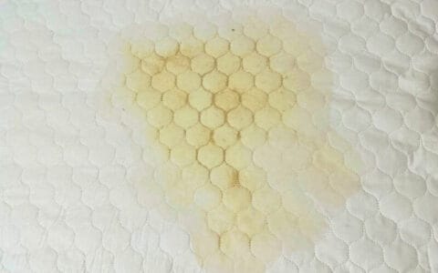 How To Get Urine Out Of A Mattress