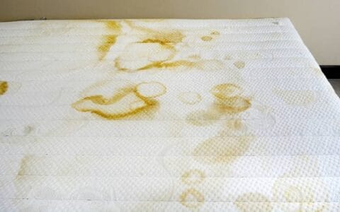 How To Get Urine Out Of A Mattress