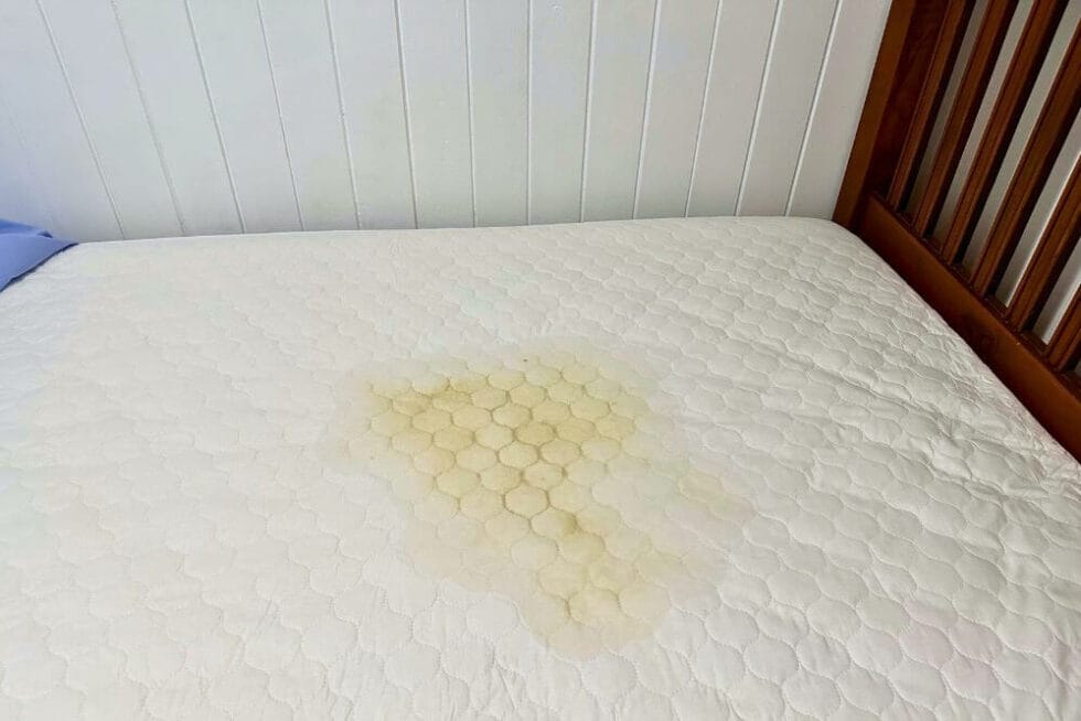 What Are The Stains On Eddie S Bed
